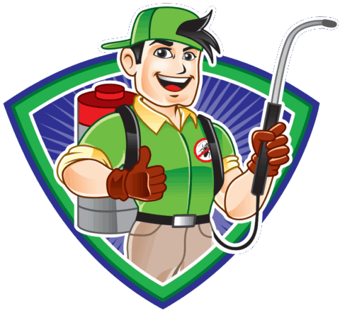 Best Pest Control & Exterminator San Diego | Doug's Bug Company